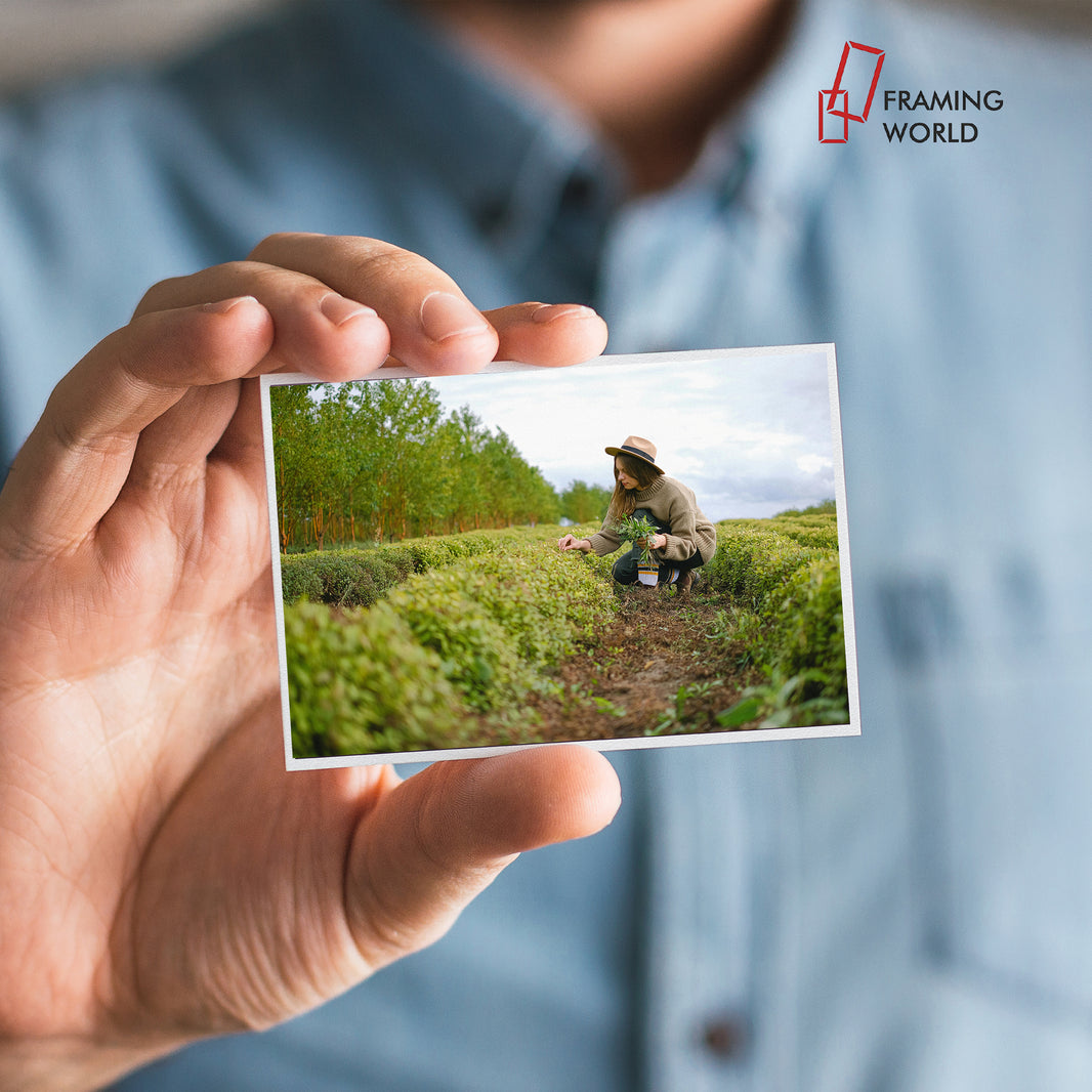 Buy Custom Photo Frames Online | Photo Frame Shop Near me – Framing World